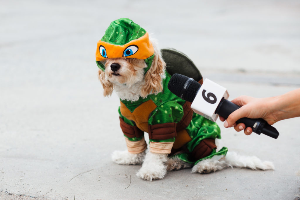 Tmnt Dog Pound Costume